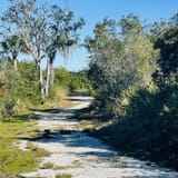 North Anclote River Nature Park Trail, Florida - 191 Reviews, Map ...