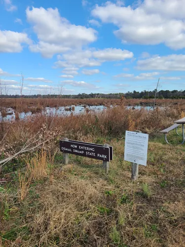 10 Best Mountain Biking Trails in Great Dismal Swamp National Wildlife ...