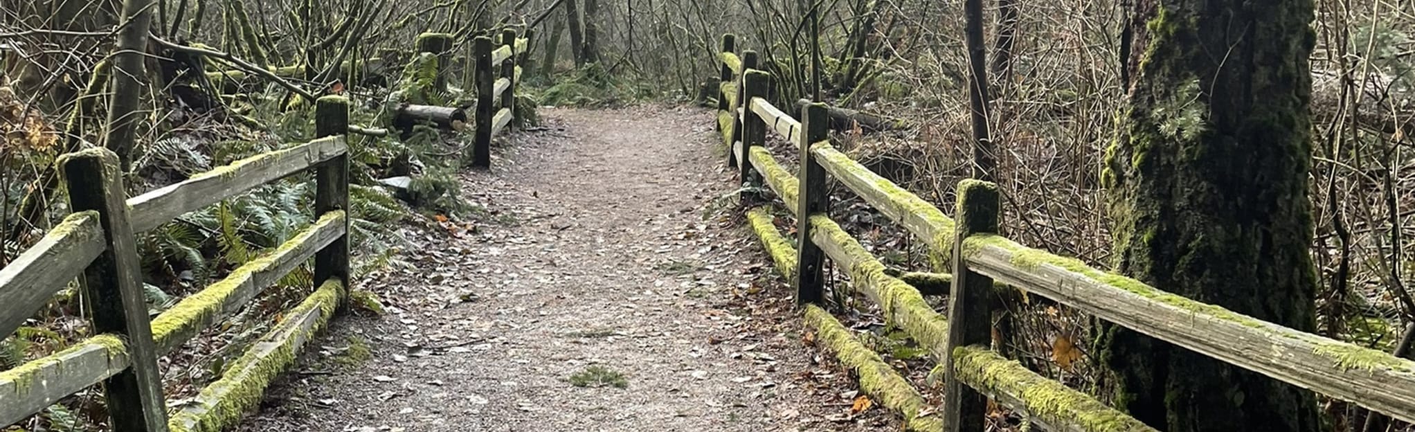 Chickadee Loop Extended: 272 Reviews, Map - British Columbia, Canada ...