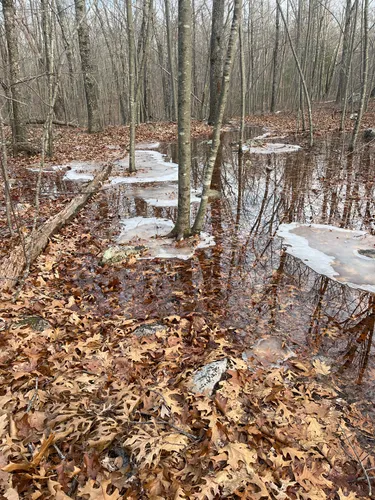 Best Hikes and Trails in Snake Den State Park | AllTrails