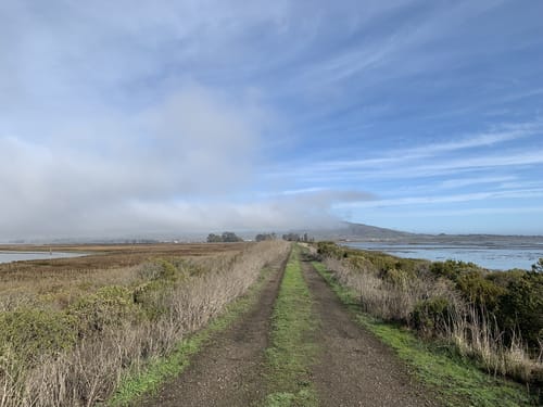 Best Hikes and Trails in San Pablo Bay National Wildlife Refuge | AllTrails