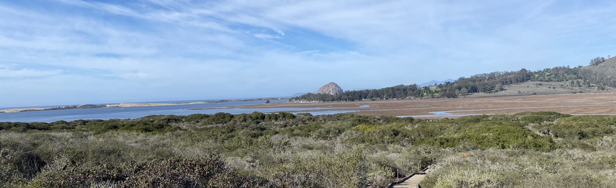 Elfin Forest Natural Area Trail: 448 Reviews, Map - California | AllTrails