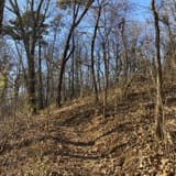 Stringer's Ridge via Cherokee and Strut Trail, Tennessee - 395 Reviews ...