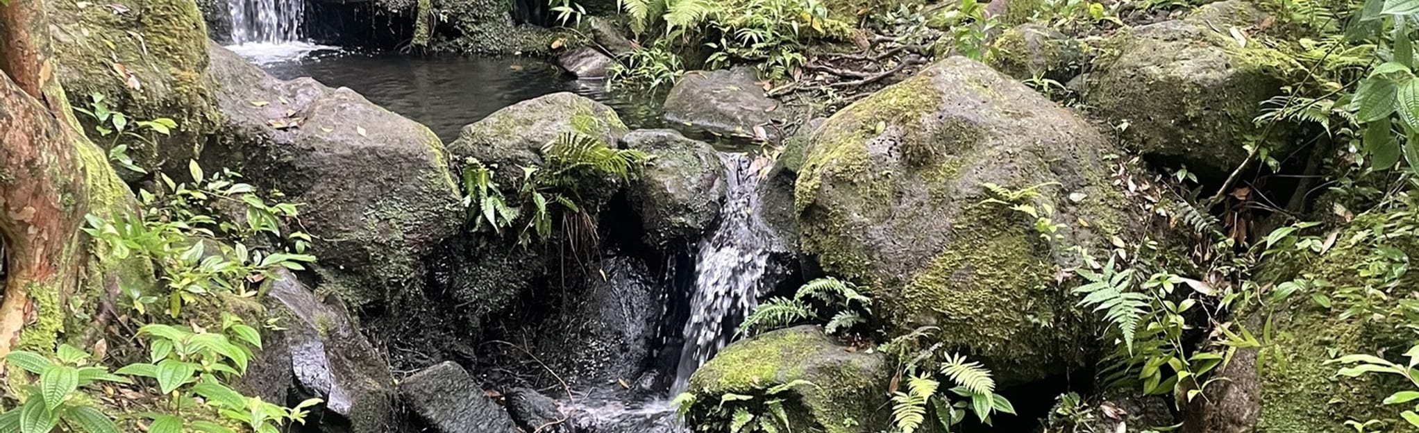 Waipuilani Falls, Oahu, Hawaii - 1,561 Reviews, Map | AllTrails