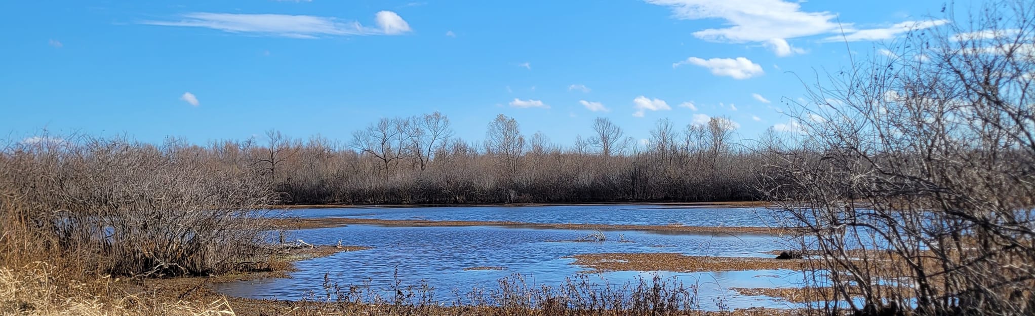 Red River National Wildlife Refuge Yellow Trail, 150 Fotos - Louisiana ...