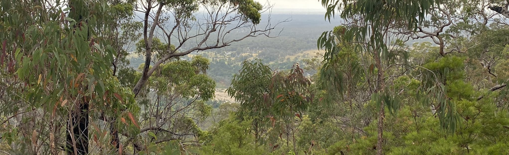 Winmalee Ridge Fire Trail: 7 Reviews, Map - New South Wales, Australia ...