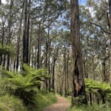 Kyeema, Channel 10 and Camella Circuit, Victoria, Australia - 232 ...