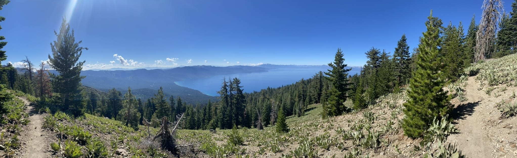 Tahoe Rim Trail (TRT): 149 Reviews, Map - Nevada | AllTrails