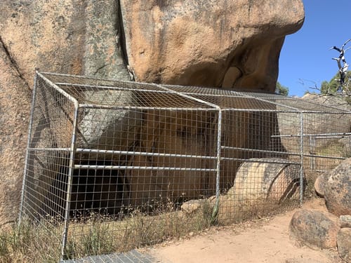 Best Hikes and Trails in Black Range Scenic Reserve | AllTrails