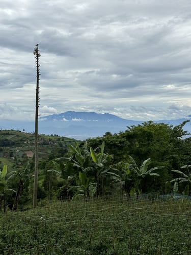 2023 Best 10 Trails, Walks, and Paths in West Java | AllTrails