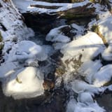 Sutton Ridge Overlook Trail, Tennessee - 495 Reviews, Map | AllTrails