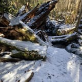 Sutton Ridge Overlook Trail, Tennessee - 495 Reviews, Map | AllTrails