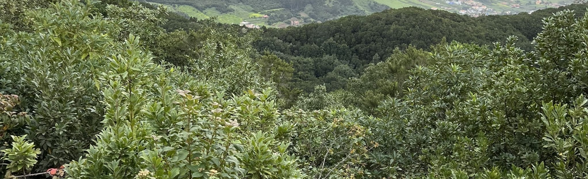 Pedro Álvarez - Los Collazos - Zapata Lookout: 1 Reviews, Map ...