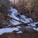 Wildcat Creek Loop Trail, Georgia - 318 Reviews, Map | AllTrails