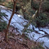 Wildcat Creek Loop Trail, Georgia - 318 Reviews, Map | AllTrails