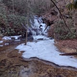 Wildcat Creek Loop Trail, Georgia - 318 Reviews, Map | AllTrails