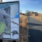 Cedar Bonnet Island, New Jersey - 155 Reviews, Map | AllTrails