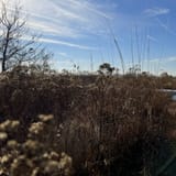 Cedar Bonnet Island, New Jersey - 155 Reviews, Map | AllTrails
