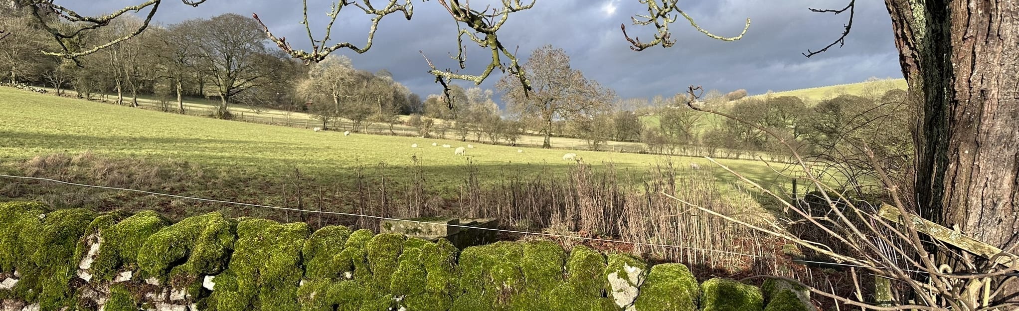 Warslow and Nan Tor Cave Circular: 23 Reviews, Map - Derbyshire ...