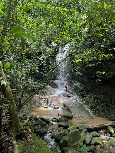 Best Walking Trails in Tijuca National Park | AllTrails