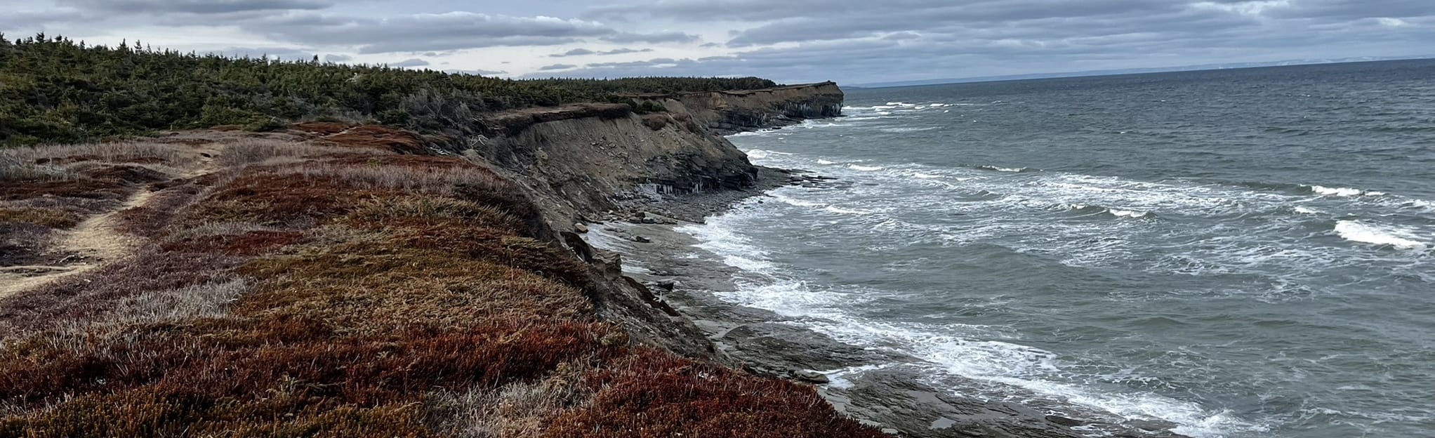 Cape Perce: 82 Reviews, Map - Nova Scotia, Canada | AllTrails
