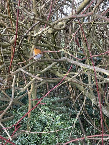 Best Hikes and Trails in Weston Turville Reservoir | AllTrails