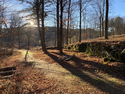 Best Hikes and Trails in Swift River Reservation | AllTrails