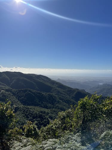 2023 Best Trails near Cerro de Punta | AllTrails