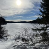 Grout Pond Trail, Vermont - 277 Reviews, Map | AllTrails