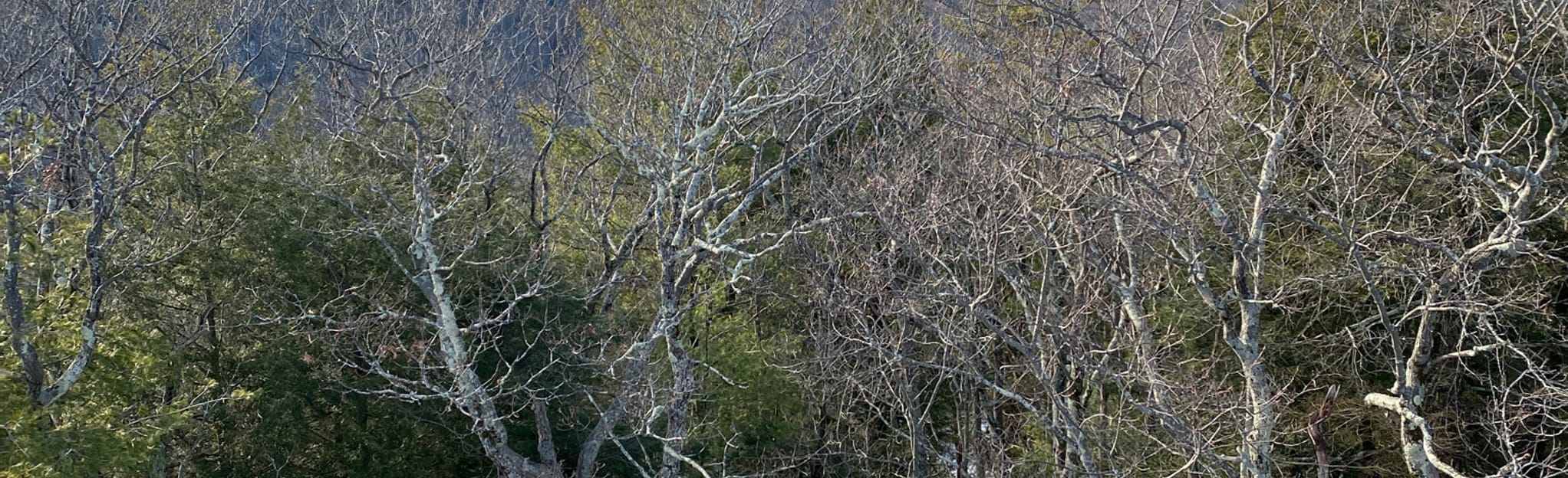 Haystack Tower Yellow Loop: 193 Reviews, Map - Connecticut | AllTrails