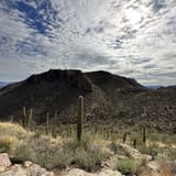 David Yetman Trail, Arizona - 329 Reviews, Map | AllTrails