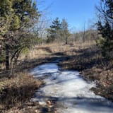 Devils Knob Loop, Arkansas - 222 Reviews, Map | AllTrails