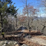 Devils Knob Loop, Arkansas - 222 Reviews, Map | AllTrails