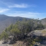 Devils Knob Loop, Arkansas - 222 Reviews, Map | AllTrails