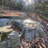 Devils Knob Loop, Arkansas - 222 Reviews, Map | AllTrails