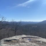 Devils Knob Loop, Arkansas - 215 Reviews, Map | AllTrails