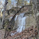 Devils Knob Loop, Arkansas - 222 Reviews, Map | AllTrails