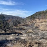 Devils Knob Loop, Arkansas - 215 Reviews, Map | AllTrails