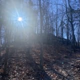 Devils Knob Loop, Arkansas - 215 Reviews, Map | AllTrails