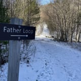 Alford Springs Father Loop, Massachusetts - 445 Reviews, Map | AllTrails