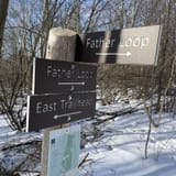 Alford Springs Father Loop, Massachusetts - 445 Reviews, Map | AllTrails