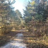 Elk Run, Virginia - 303 Reviews, Map | AllTrails