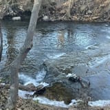 Elk Run, Virginia - 303 Reviews, Map | AllTrails