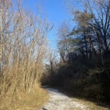 Elk Run, Virginia - 303 Reviews, Map | AllTrails