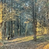 Elk Run, Virginia - 303 Reviews, Map | AllTrails