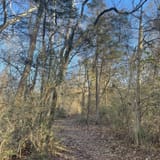 Elk Run, Virginia - 303 Reviews, Map | AllTrails