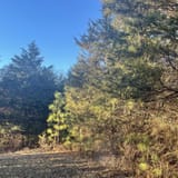 Elk Run, Virginia - 303 Reviews, Map | AllTrails