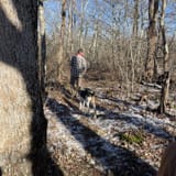 Hanging Rock Overlook Trail, Virginia - 126 Reviews, Map | AllTrails