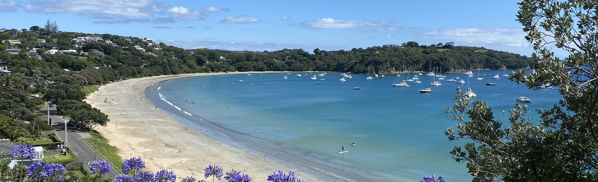 Oneroa Beach Track, Auckland, New Zealand - 34 Reviews, Map | AllTrails