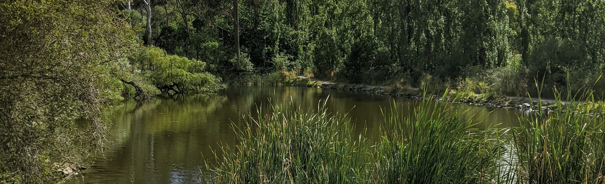 Sturt River Linear Park Trail, South Australia, Australia - 79 Reviews ...